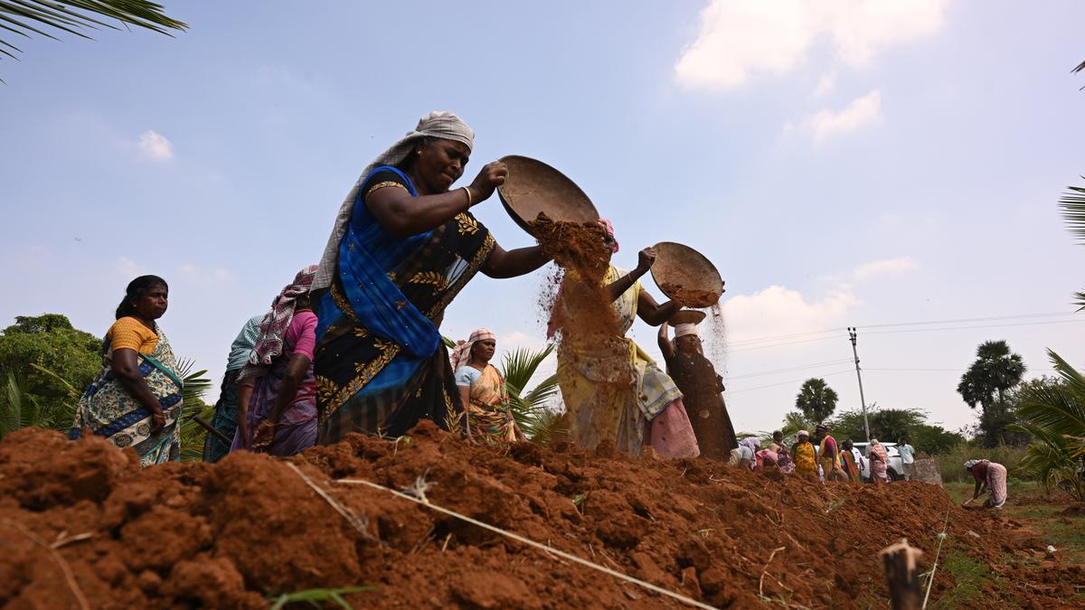 Political parties compete to take credit for resumption of MGNREGS in West Bengal - The Hindu